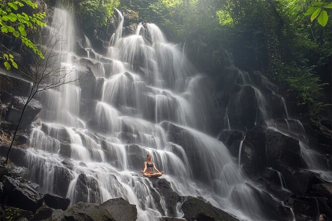 Best of Bali - Ubud Tour All-Inclusive Private Tour - Authentic Experiences and Honest Value