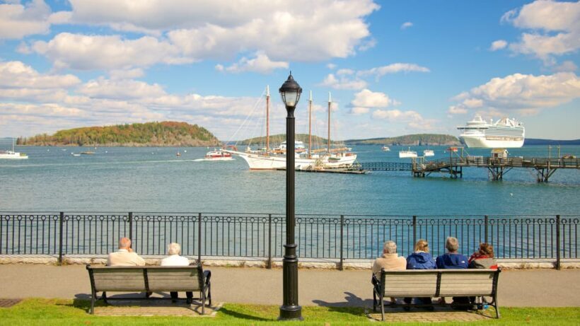 Best of Bar Harbor Food Walking Tour - Price and Value