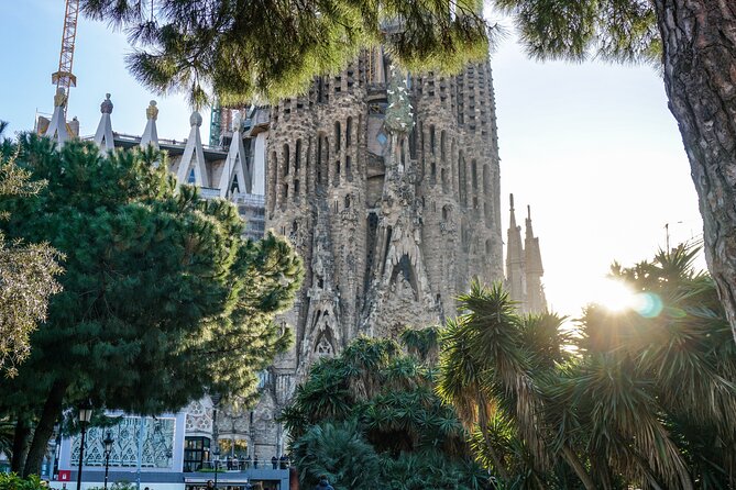 Best of Barcelona: Sagrada Familia, Park Guell, Montjuic & Gothic - Authentic Experiences and Real Feedback