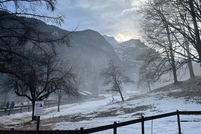 Best of Bernese Oberland & Swiss Countryside (Private Tour) - Accessibility and Comfort on Your Tour