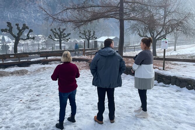 Best of Bernese Oberland & Swiss Countryside (Private Tour) - Pricing and Inclusions for Your Adventure