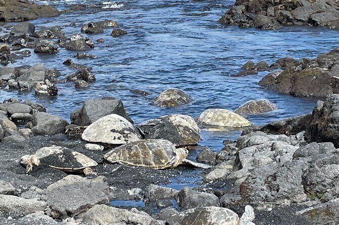 Best of Big Island: Volcanoes, Waterfall, Blacksand Beach & Lunch - The Sum Up