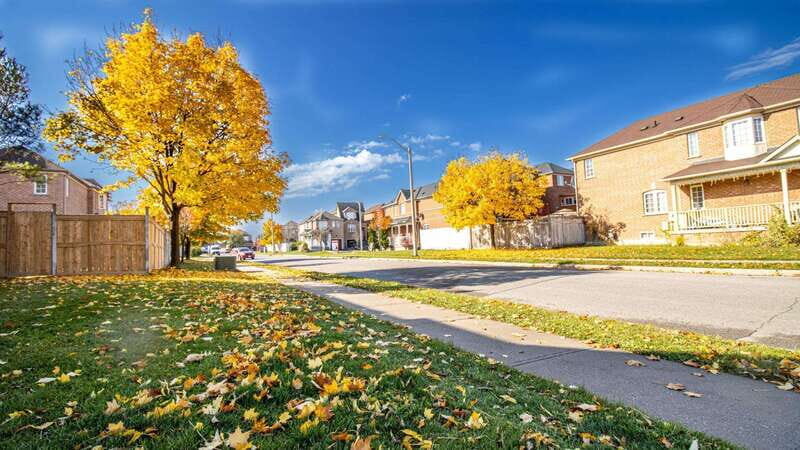 Best of Brampton: Private Walking Tour with a Local - Key Points