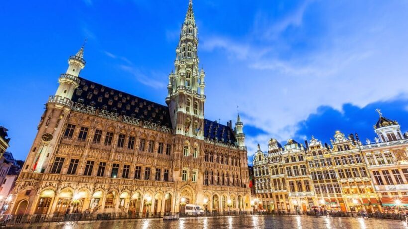 Best of Brussels: Private Walking Tour with a Local - Key Points