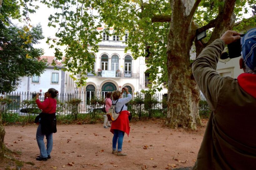 Best of Caldas da Rainha with a local guide - Introduction: A concise taste of Caldas da Rainha