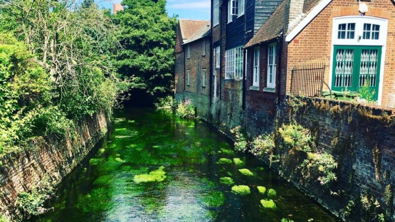 Best of Canterbury: Private Walking Tour with a Local - The Sum Up