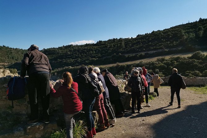 Best of Cathar Country: Full-Day Private Tour. - Practical Considerations