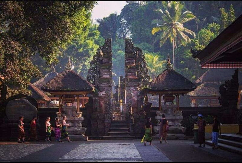 Best Of Central Bali : Holy Water/Elephant Cave /rice Fields - Who Will Love This Tour?