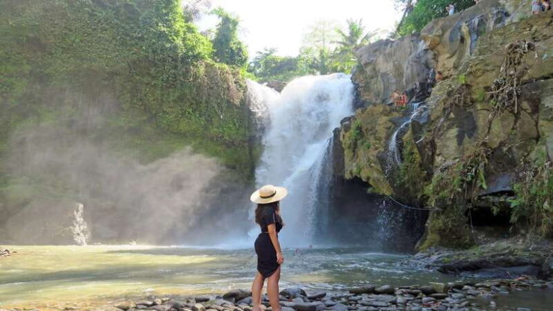 Best of Central Bali: Waterfall, Elephant Cave & Rice Fields - Key Points