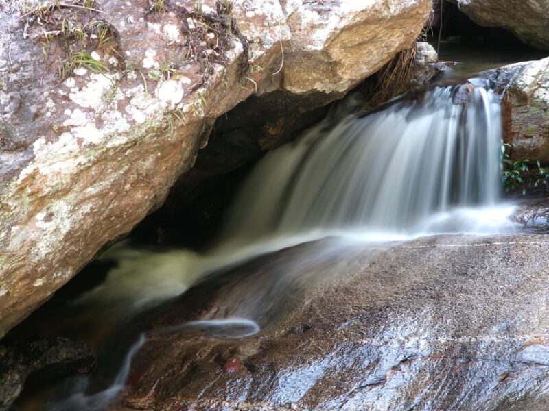 Best of Chiang Mai :Temple,Nature and culture - What We Love About This Tour