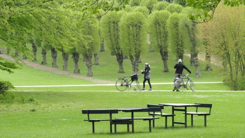 Best of Copenhagen: Private Walking Tour with a Local - Authentic Experiences and Practical Tips