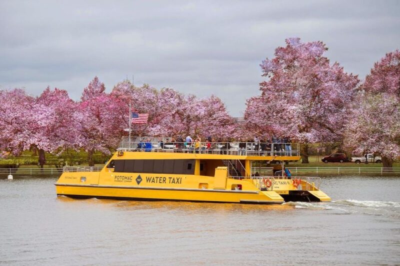Best of DC: Hop-on Hop-off Bus Tour & Night Tour (Save 40%) - Authentic Travelers Perspectives
