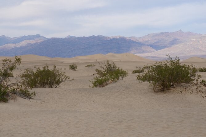 Best of Death Valley Small Group Day Tour from Las Vegas - Frequently Asked Questions (FAQs)