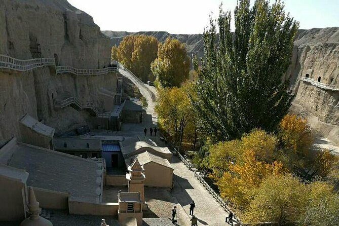 Best of Dunhuang Day Tour to Yulin Grottoes and Suoyangcheng Ruins - Who Should Consider This Tour?