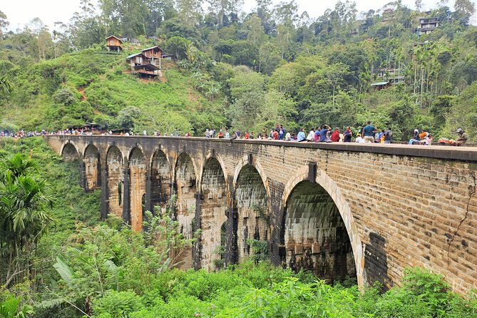 Best of Ella - Full Day, Private & Customize Tour - The Value Proposition: How Does It Stack Up?