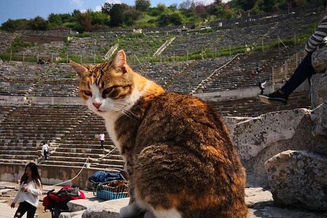 Best of Ephesus Tour - Analyzing the Experience