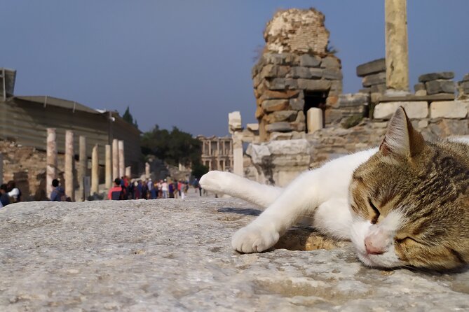 Best of Ephesus Tour From Kusadasi: Temple of Artemis, St John Basilica, Isa Bey Mosque - Since You Asked