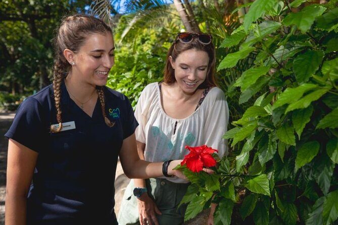 Best of Fitzroy Island Day Tour - Who Will Love This Tour?