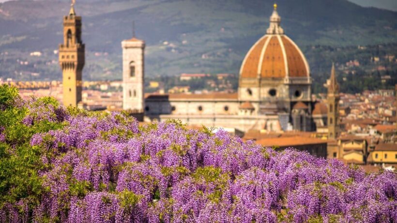 Best of Florence: Private Walking Tour with a Local - Final Thoughts