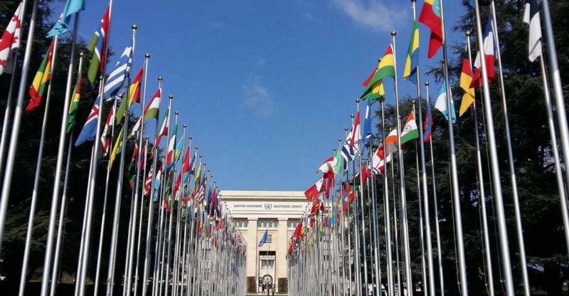 Best of Geneva: 2-Hour Tour of International Area & Old Town - What to Expect on the Tour