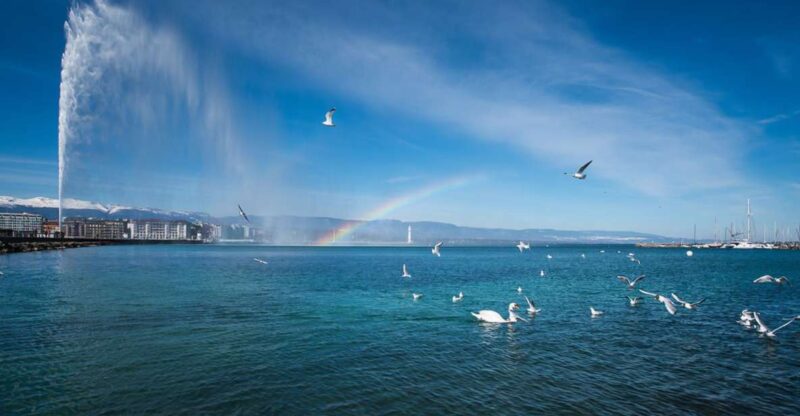Best of Geneva: Guided City Tour With Scenic Lake Cruise - Itinerary Highlights