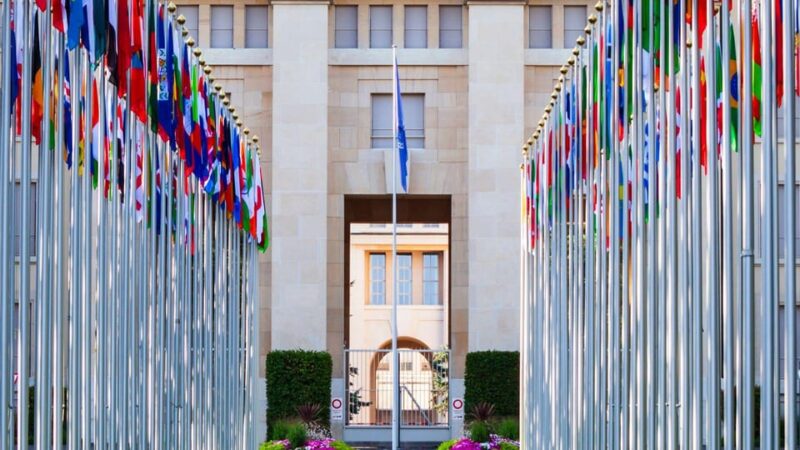 Best of Geneva: Private Walking Tour With a Local - Key Points