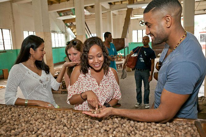 Best Of Grenada Historical Spice Tour and Annandale Waterfall - Who Will Benefit Most?