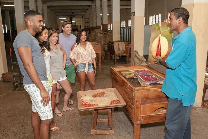 Best Of Grenada Historical Spice Tour and Annandale Waterfall - The Sum Up