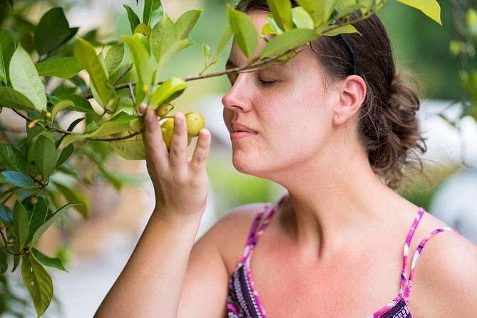 Best of Grenada: Waterfalls, Chocolate, Nutmeg Museum, History - A Deep Dive into the Itinerary