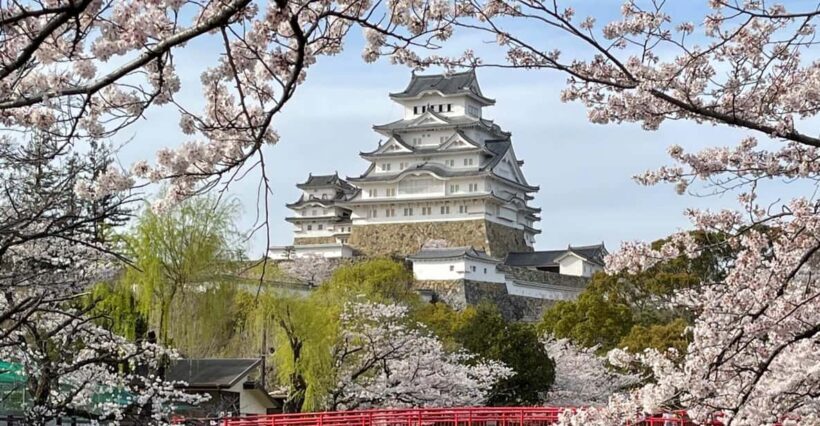 Best of Himeji Castle: 3hr Tour with Licensed Guide - The Sum Up