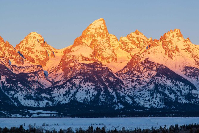 Best of Jackson Hole Wildlife Safari Tour - Important Information for Participants