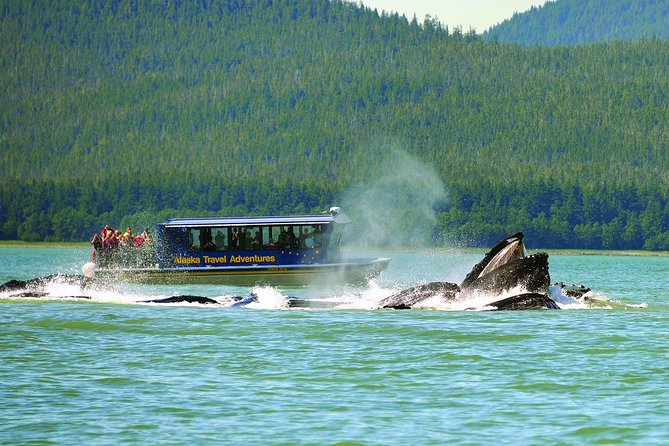 Best of Juneau: Mendenhall Glacier, Whale Watching and Salmon Bake - Indulging in the Gold Creek Salmon Bake