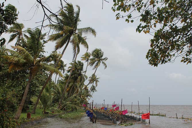 Best of Kerala - Exploring the Itinerary in Detail