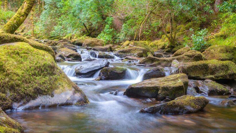 Best of Killarney: Private Walking Tour with a Local - Key Points