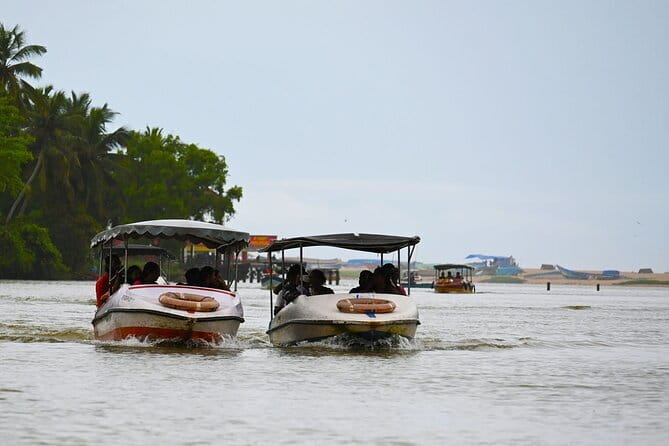 Best of kochi ! A private tour in kochi with a local guide ! - The Sum Up