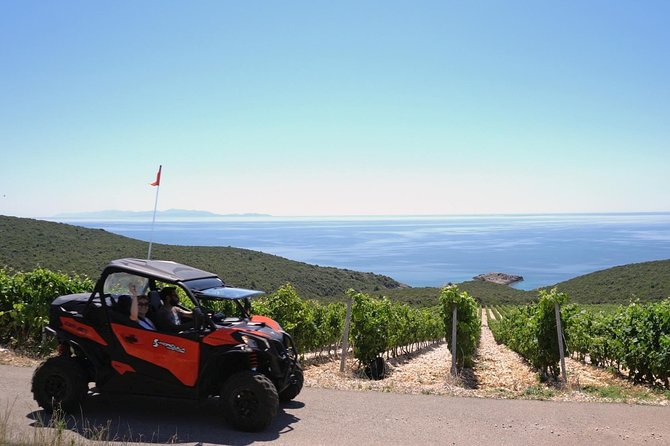 Best of Korcula island winery's by 4X4 Canam buggys with lunch - Real Travelers’ Insights