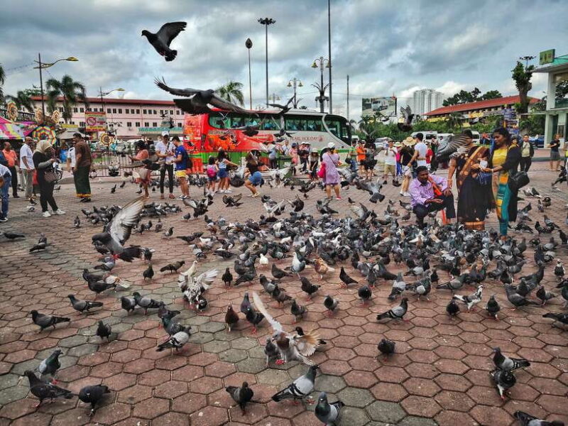 Best of Kuala Lumpur Tour with KL Tower & Batu Caves - Practical Details and Value