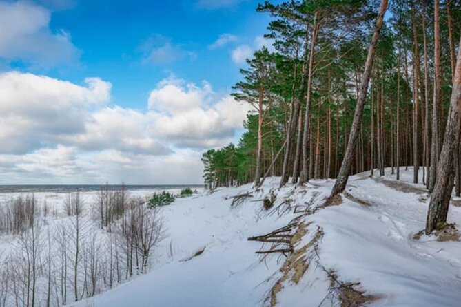 Best of Latvia, Jurmala, Kemeri N Park, Kuldiga City, Food & More - Tour Guide Information