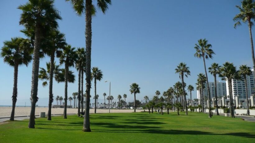 Best of Los Angeles Day Tour with German-Speaking Guide - Final Thoughts: Who Will Love This Tour?
