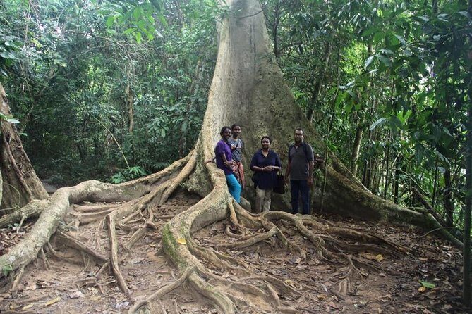 Best of Malaysia 10 Days - Overall Value and Experience