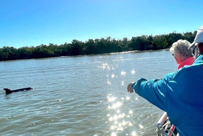 Best of Marco Dolphin Tour - Authentic Experience: What Visitors Are Saying