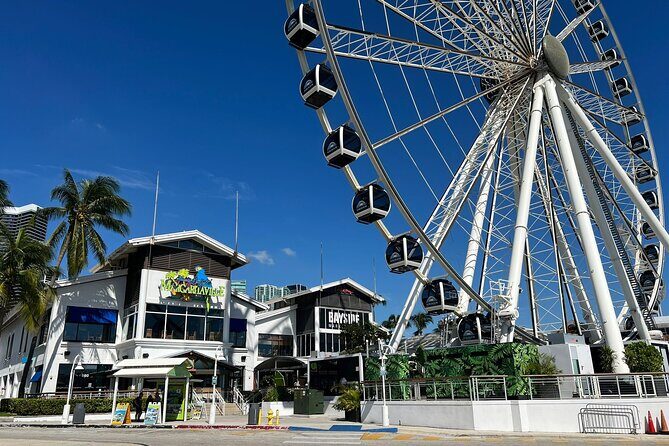 Best of Miami - All in One Day Tour - What Makes This Tour Stand Out?