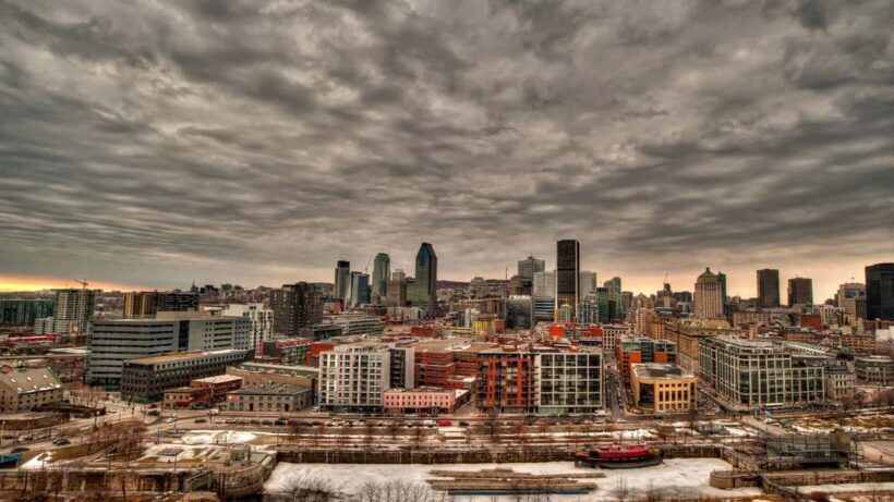 Best of Montréal: Private Walking Tour with a Local - Discovering the Artsy Plateau Mont-Royal