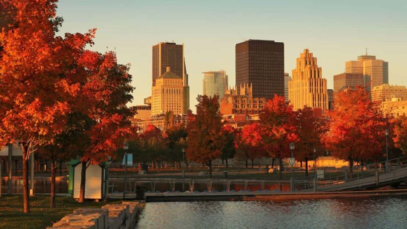 Best of Montréal: Private Walking Tour with a Local - The Experience and Value