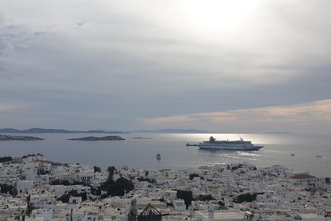 Best Of Mykonos Private Tour - Accessibility Features
