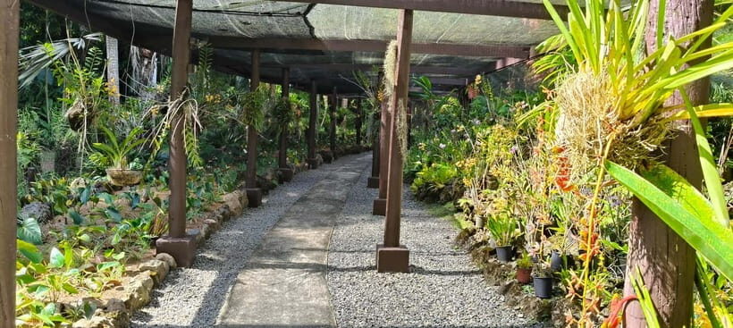 Best of Nadi Highlights - An In-Depth Look at the Itinerary
