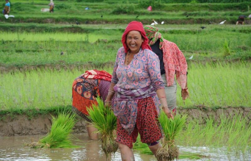 Best of Nepal & Bhutan Tourspectacular view  14 Days Tour - The Scenic Drive to Pokhara — Day 3