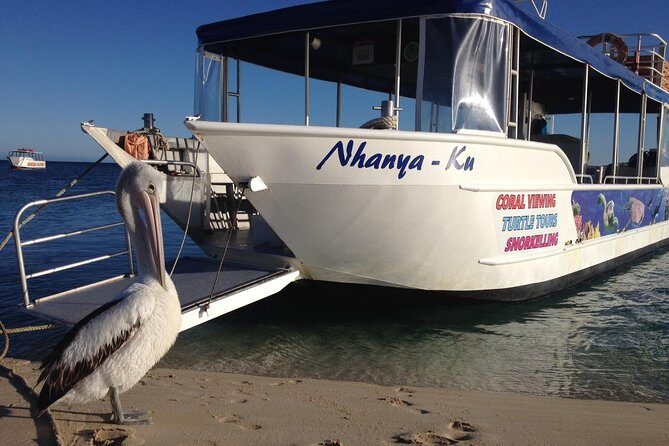 Best of Ningaloo Mantas and More - The Sum Up