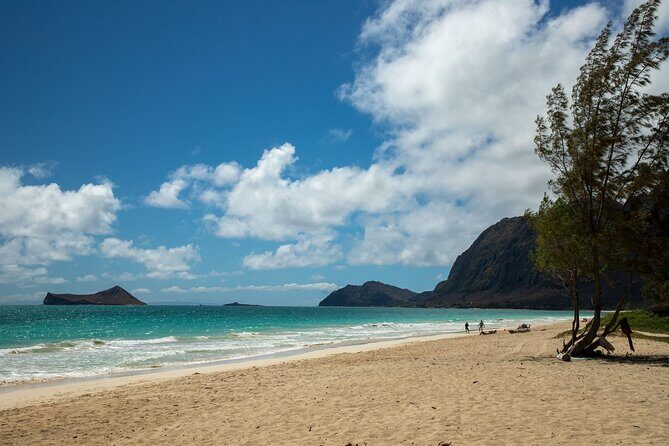 Best Of Oahu: Grand Circle Island Small Group Tour From Waikiki - Dole Plantation and Kamehameha Statue