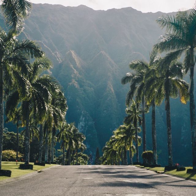 Best of Oahu in One Day - Pricing & Value